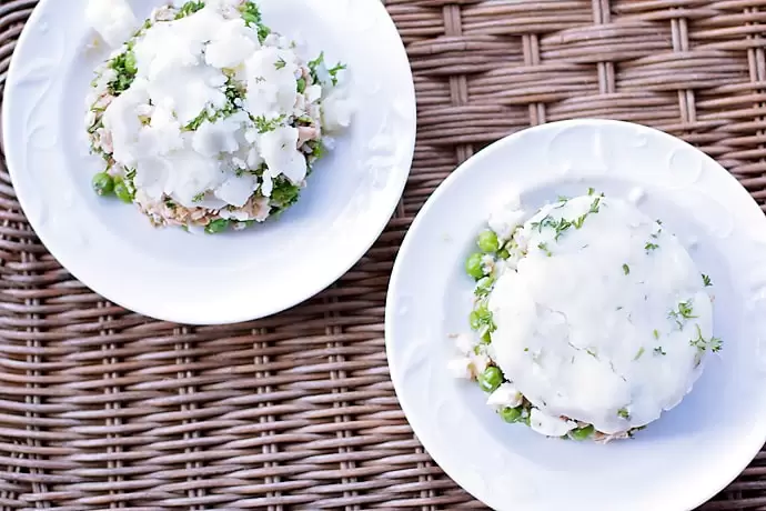 Dog Dinner Recipe: Fish Cakes - Food with Feeling