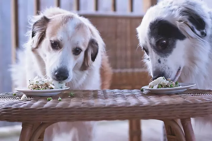 Dog Dinner Recipe: Fish Cakes - Food with Feeling