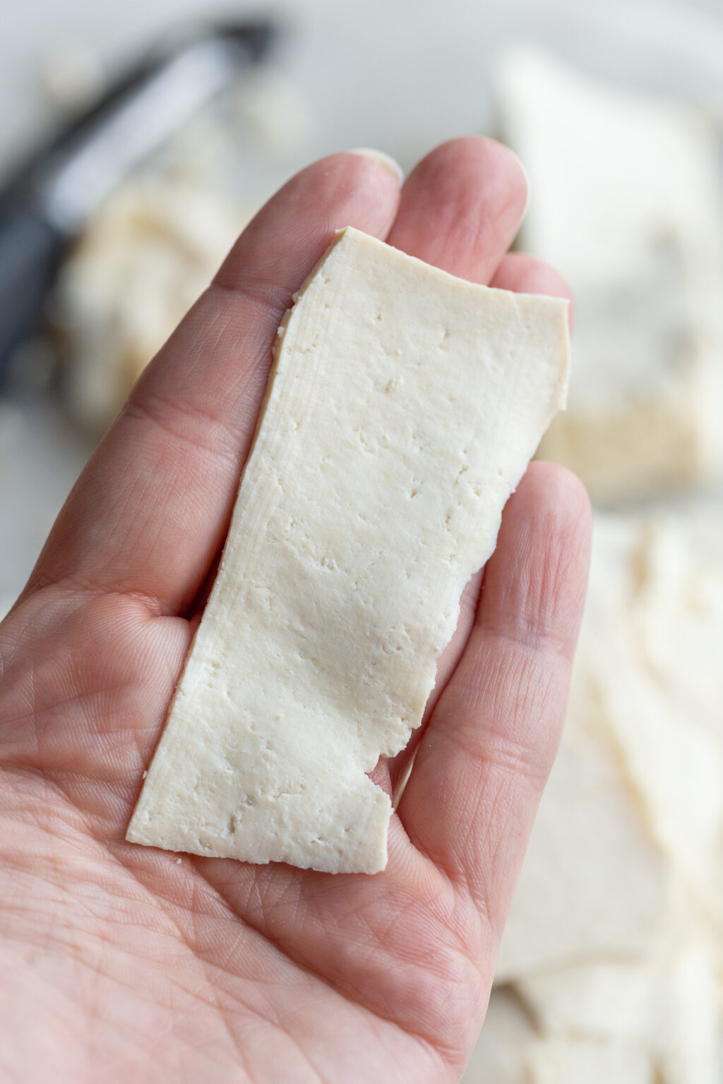 Tofu Lunch "Meat" - Food with Feeling